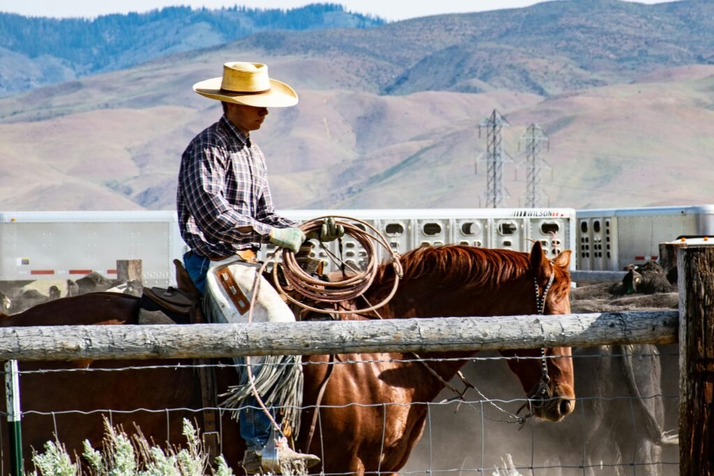 Justin Cowboy Official Website – Luxury Hats for Every Cowboy
